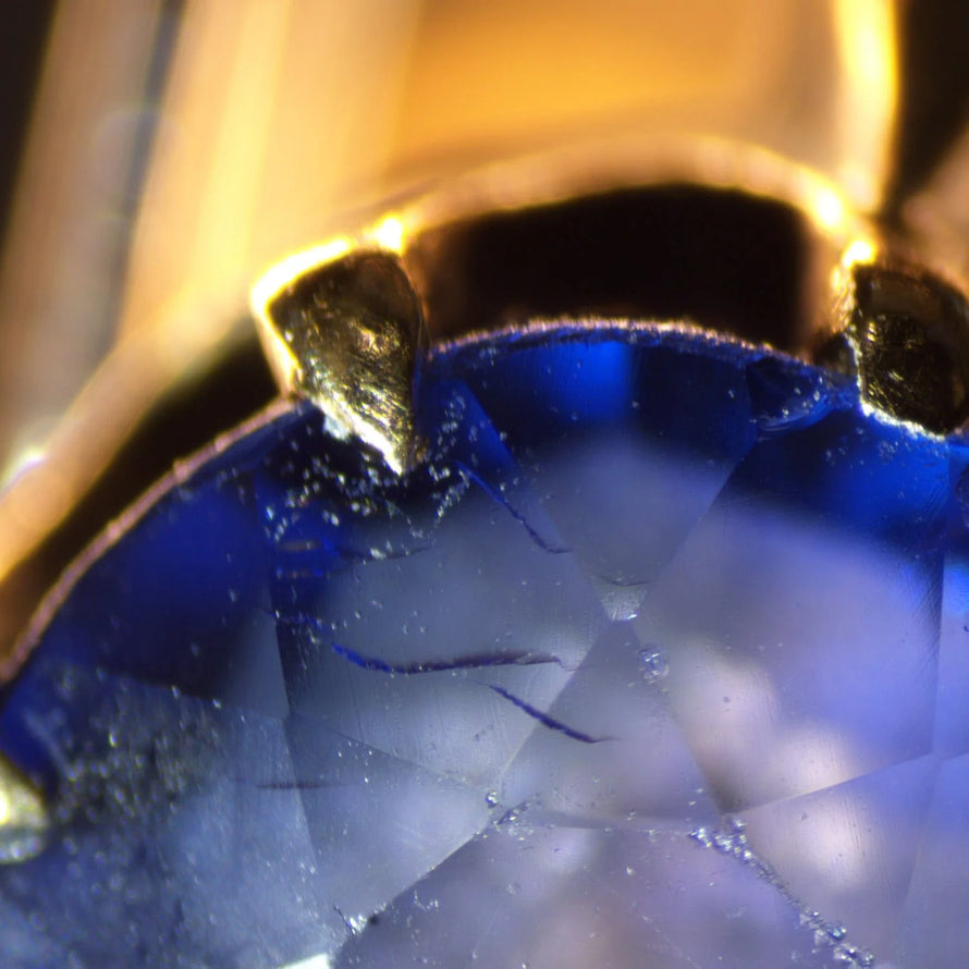 AmScope GM400 Series Advanced Jewel Gem Zoom Trinocular Stereo Microsc